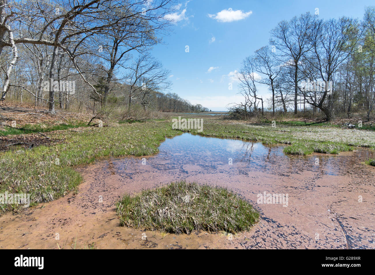 Mashomack nature preserve hi-res stock photography and images - Alamy