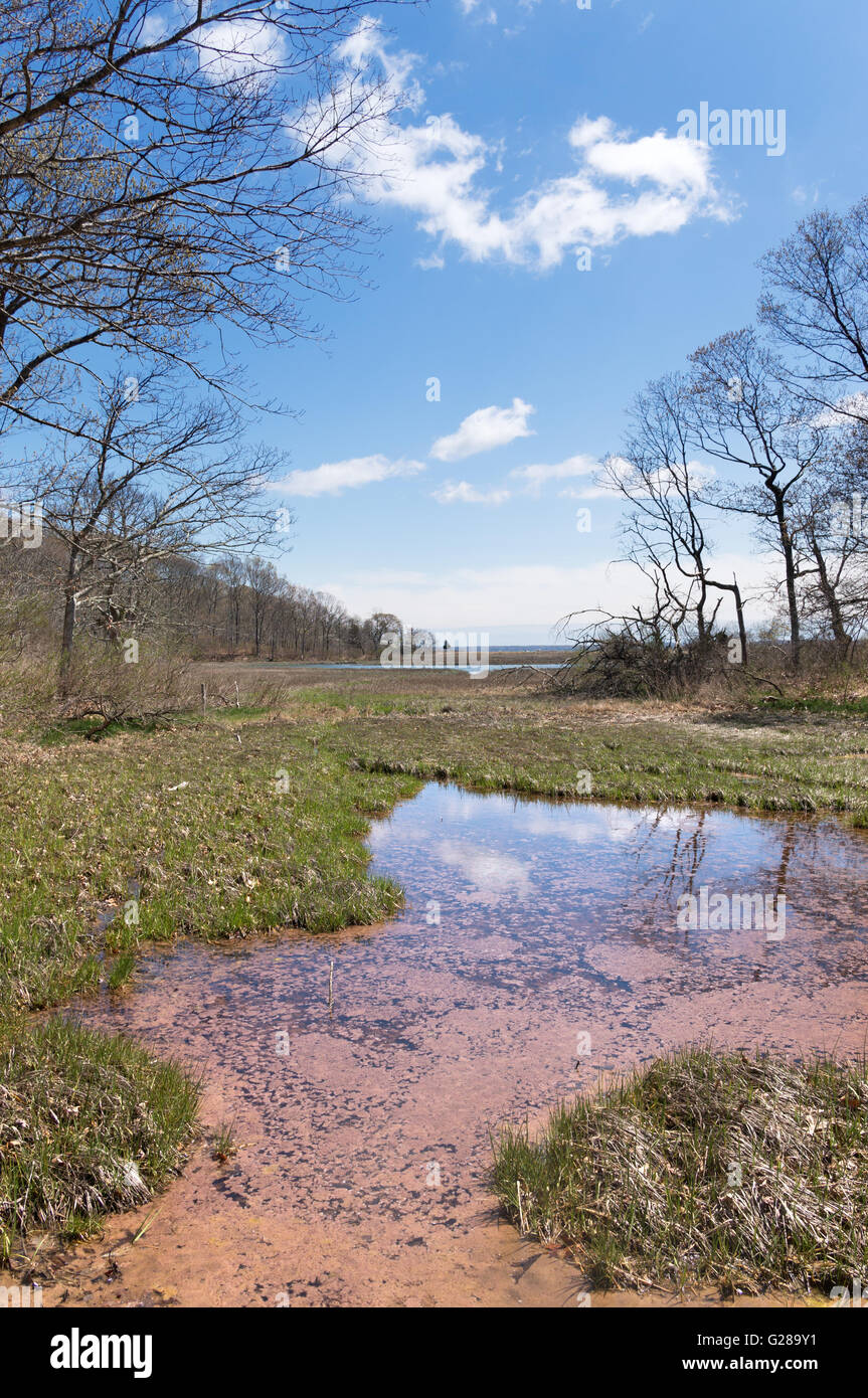 Mashomack nature preserve hi-res stock photography and images - Alamy