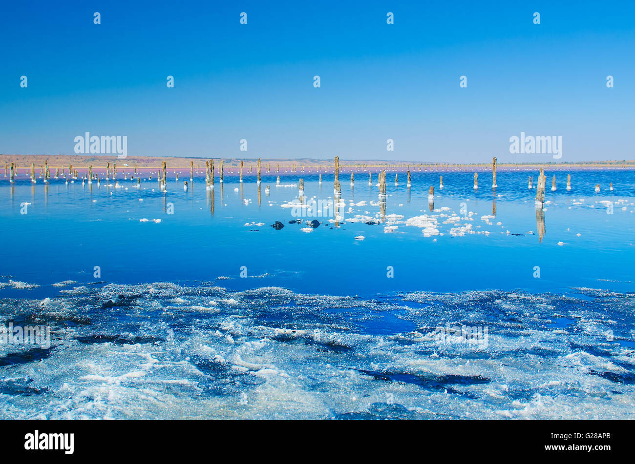 Beautiful salt lake Stock Photo - Alamy