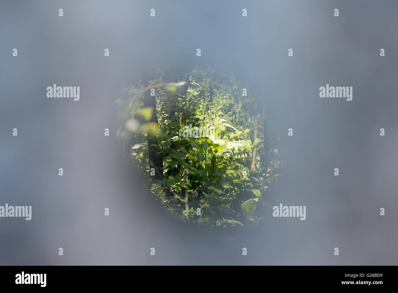 Antithesis hi-res stock photography and images - Alamy