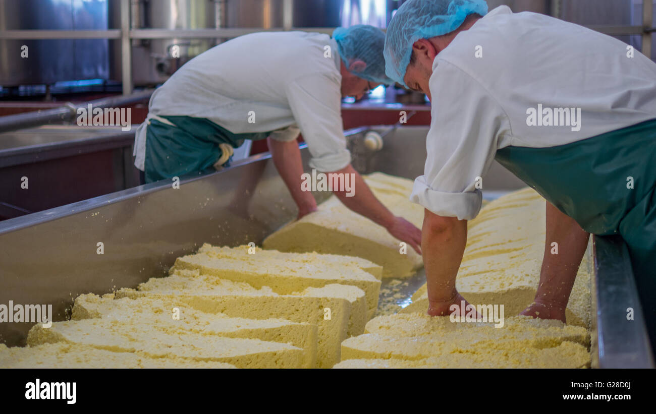 Industrial cheese blocks hi-res stock photography and images - Alamy