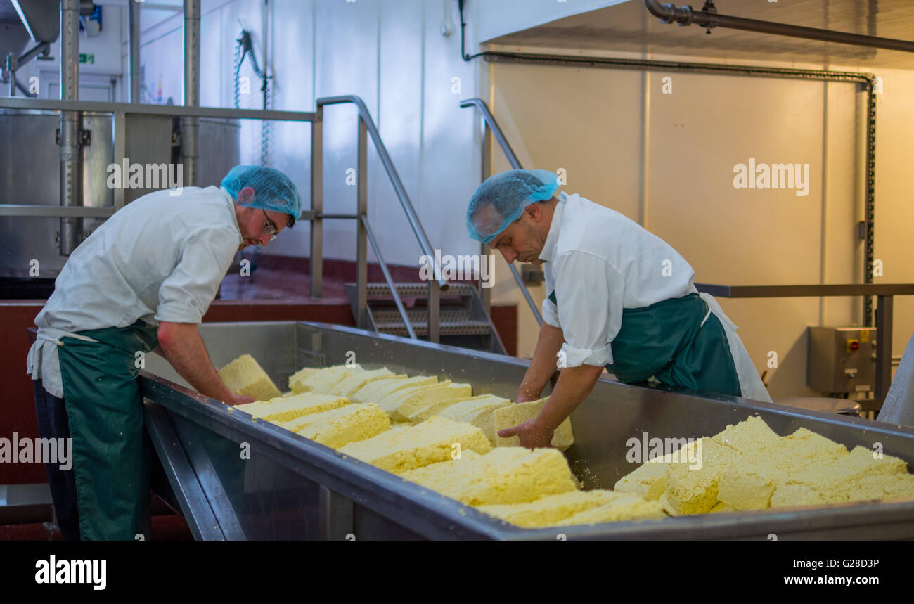 Industrial cheese blocks hi-res stock photography and images - Alamy