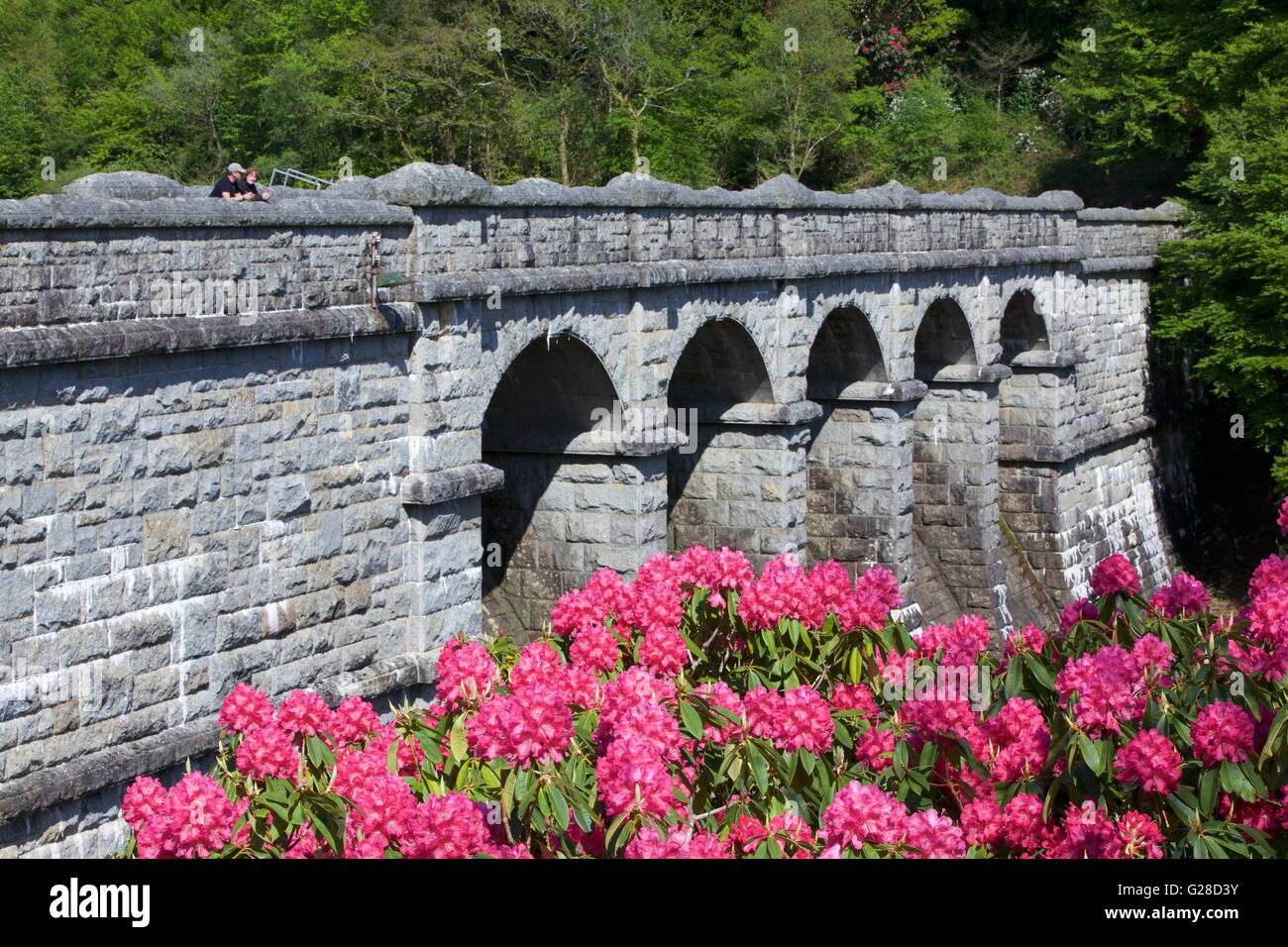 Dam at Burrator Reservoir, Dartmoor, Devon, West Country, England, UK ...