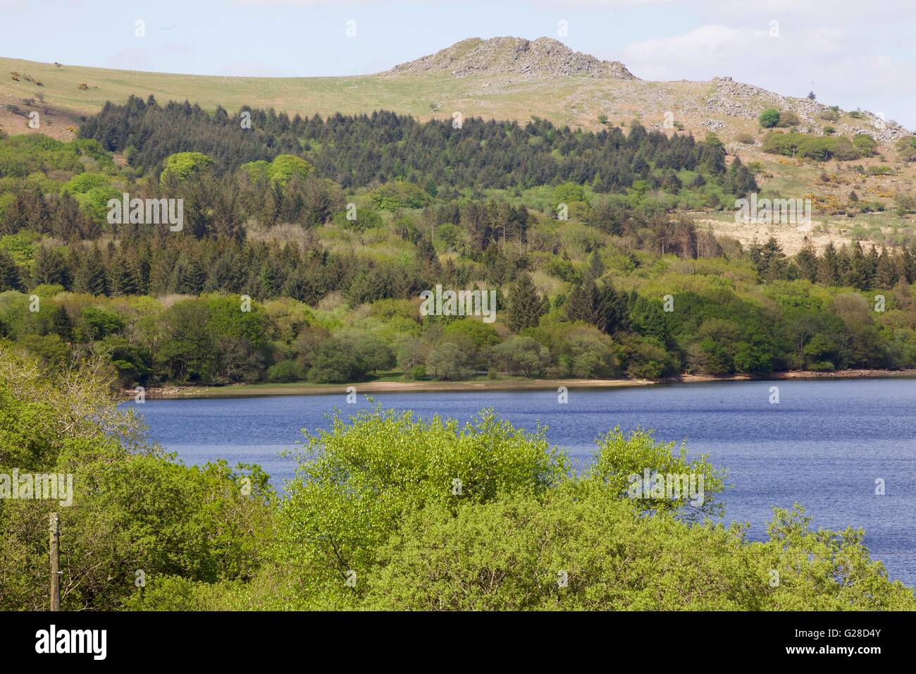 Burrator Reservoir Dartmoor High Resolution Stock Photography and ...