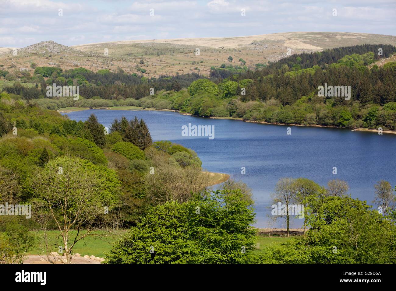 Burrator Reservoir, Down Tor, Dartmoor, Devon, West Country, England ...