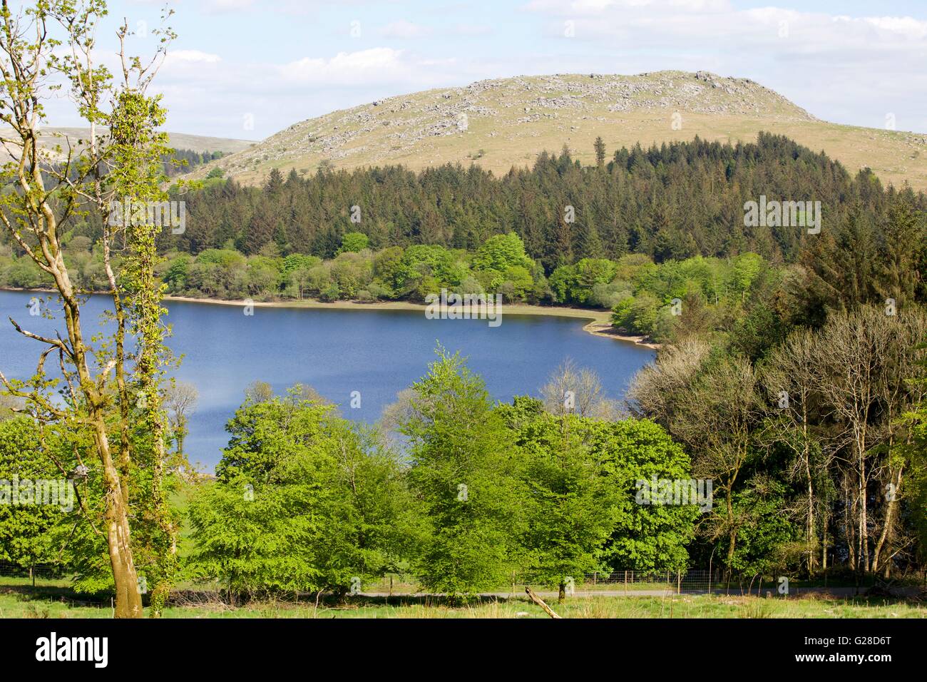Burrator reservoir hi-res stock photography and images - Alamy