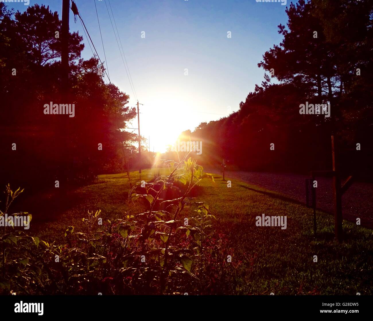 Bright golden hi-res stock photography and images - Alamy