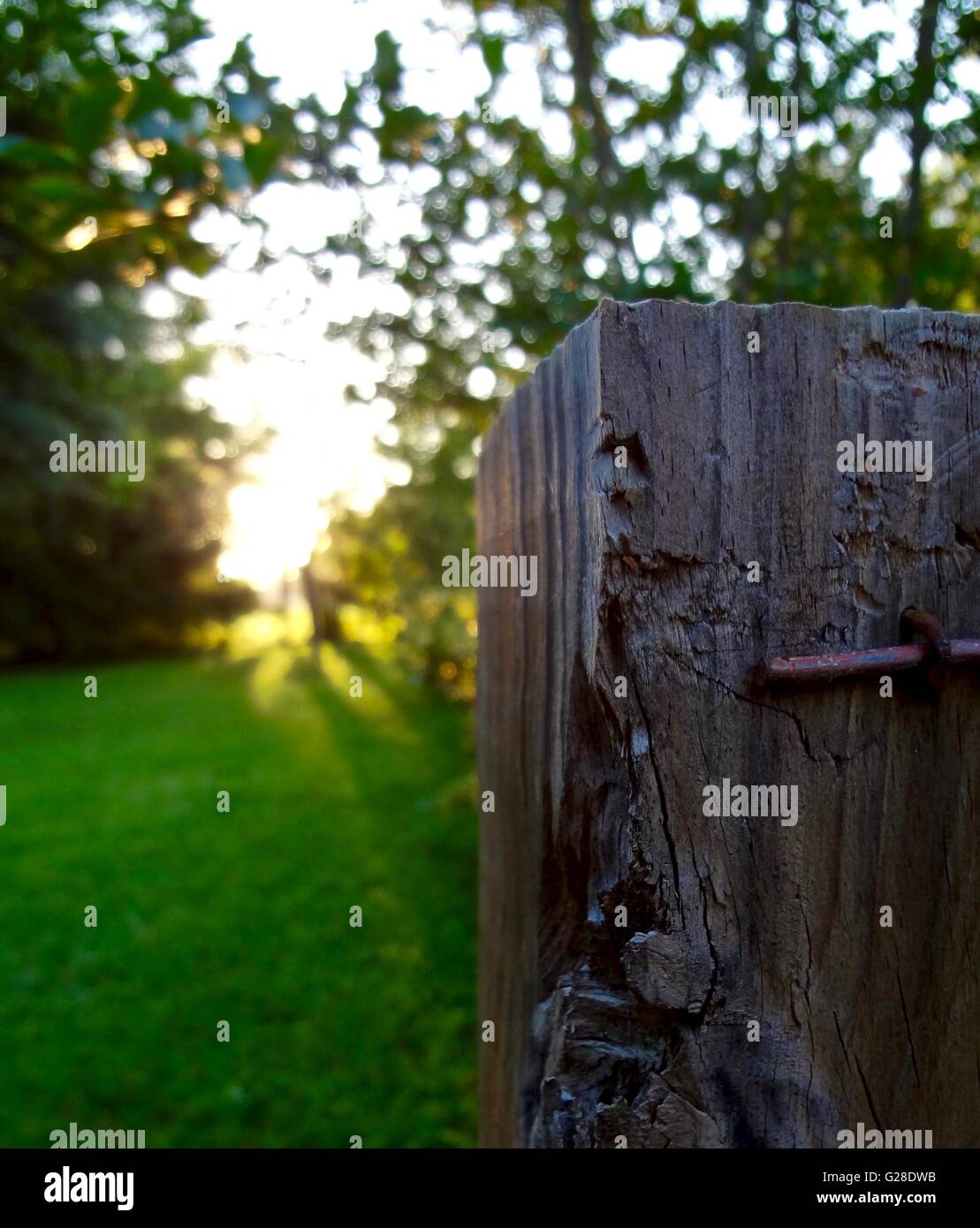 Close up of a fence post on a farm Stock Photo - Alamy