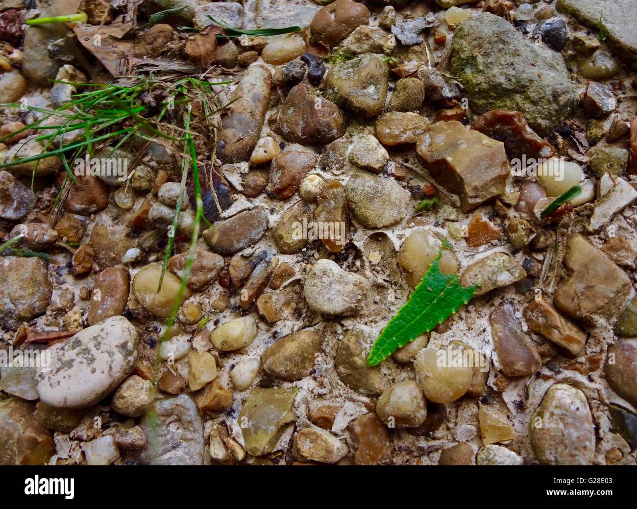 Gravel and rocks hi-res stock photography and images - Alamy