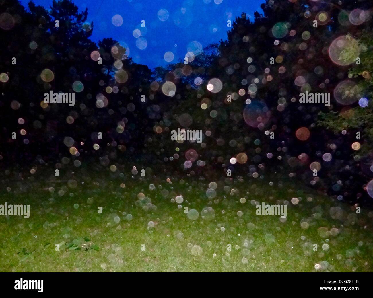 Particles of dust in the night Stock Photo - Alamy