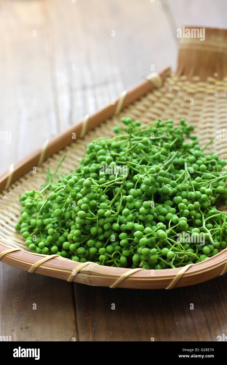 Sansho hi-res stock photography and images - Alamy