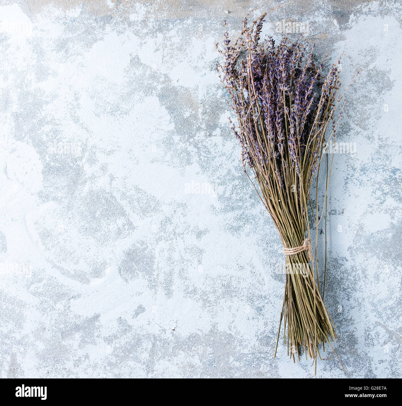 Lavender square texture hi-res stock photography and images - Alamy