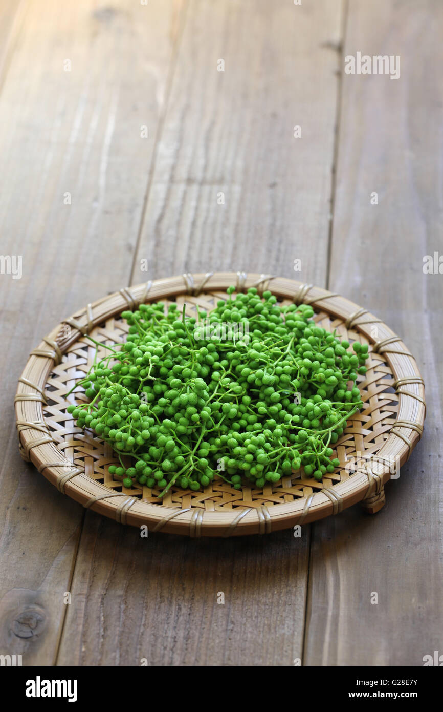 fresh green sansho japanese pepper Stock Photo - Alamy