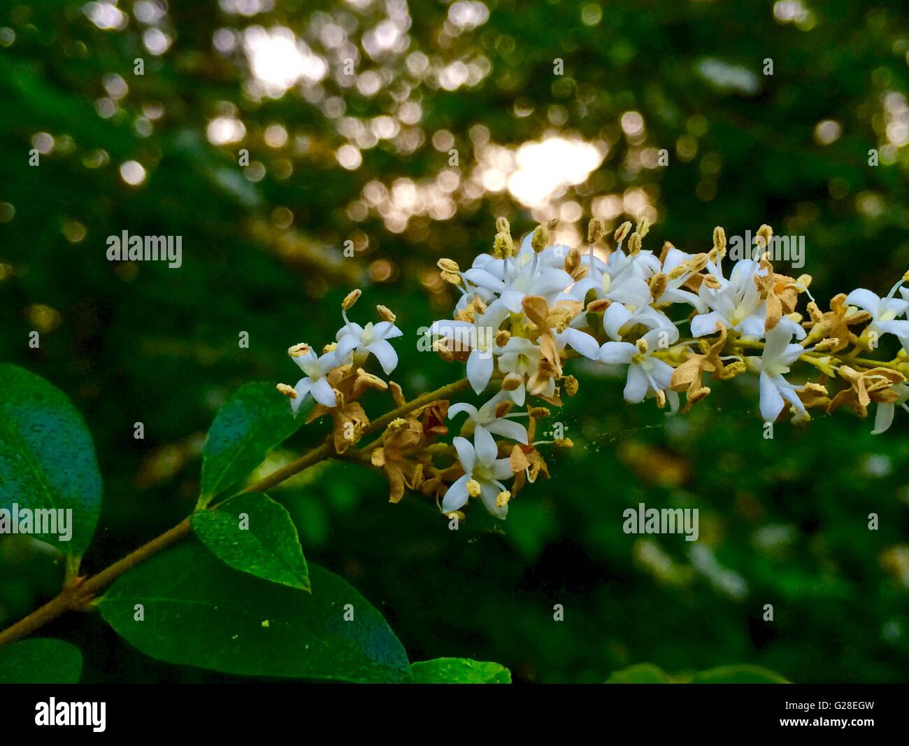 Bunched Up High Resolution Stock Photography and Images - Alamy