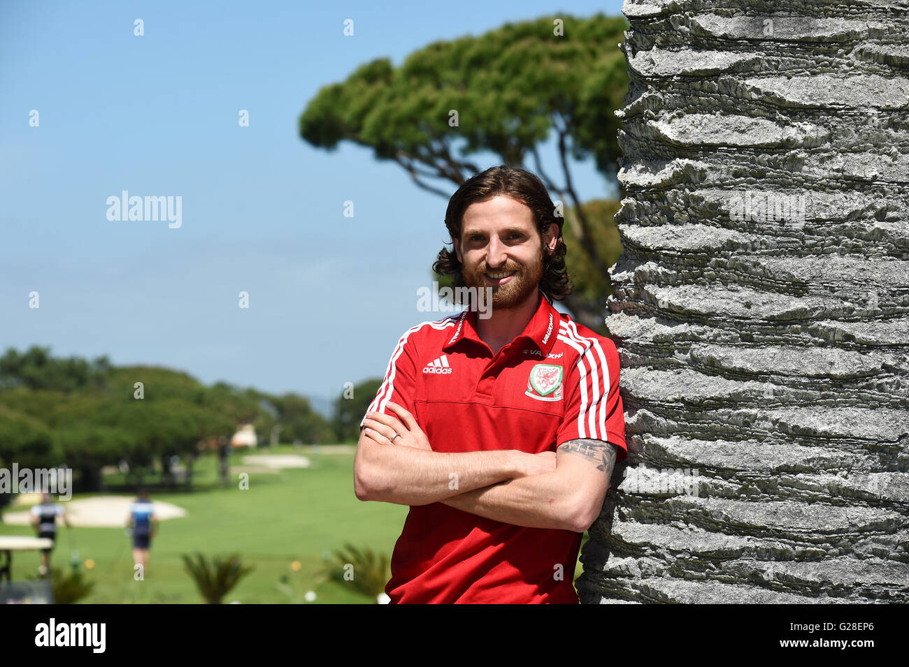 Lobo allen hi-res stock photography and images - Alamy