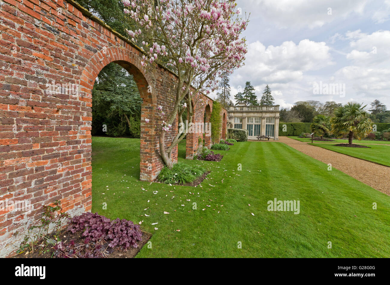 Ornamental magnolia tree hi-res stock photography and images - Alamy