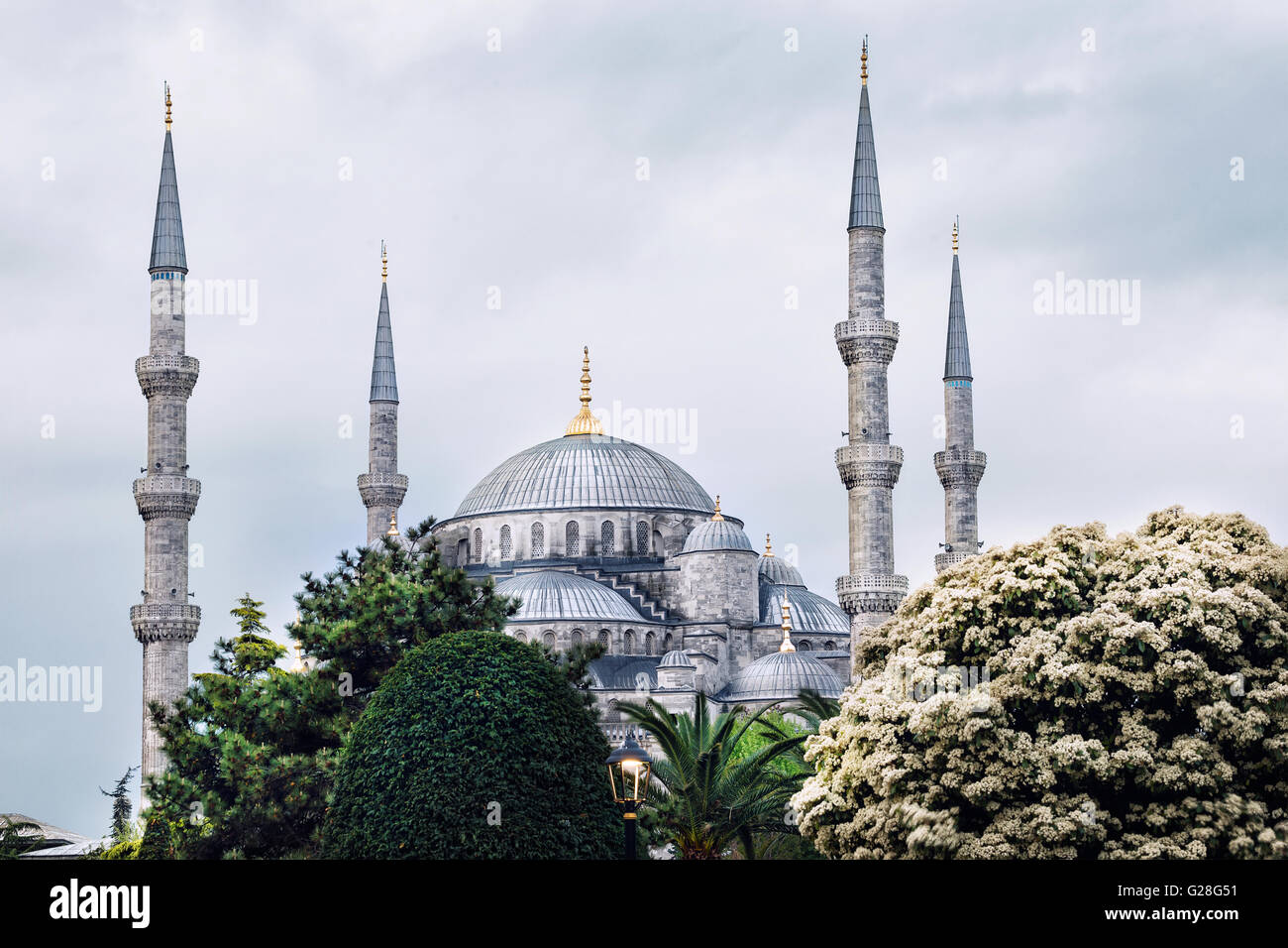 Sultanahmet Mosque behind trees Stock Photo - Alamy