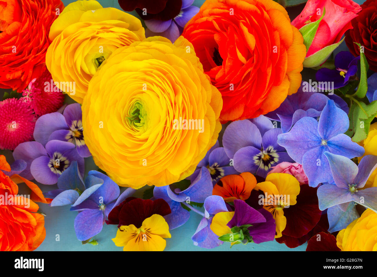 Fresh Flowers Background Stock Photo - Alamy