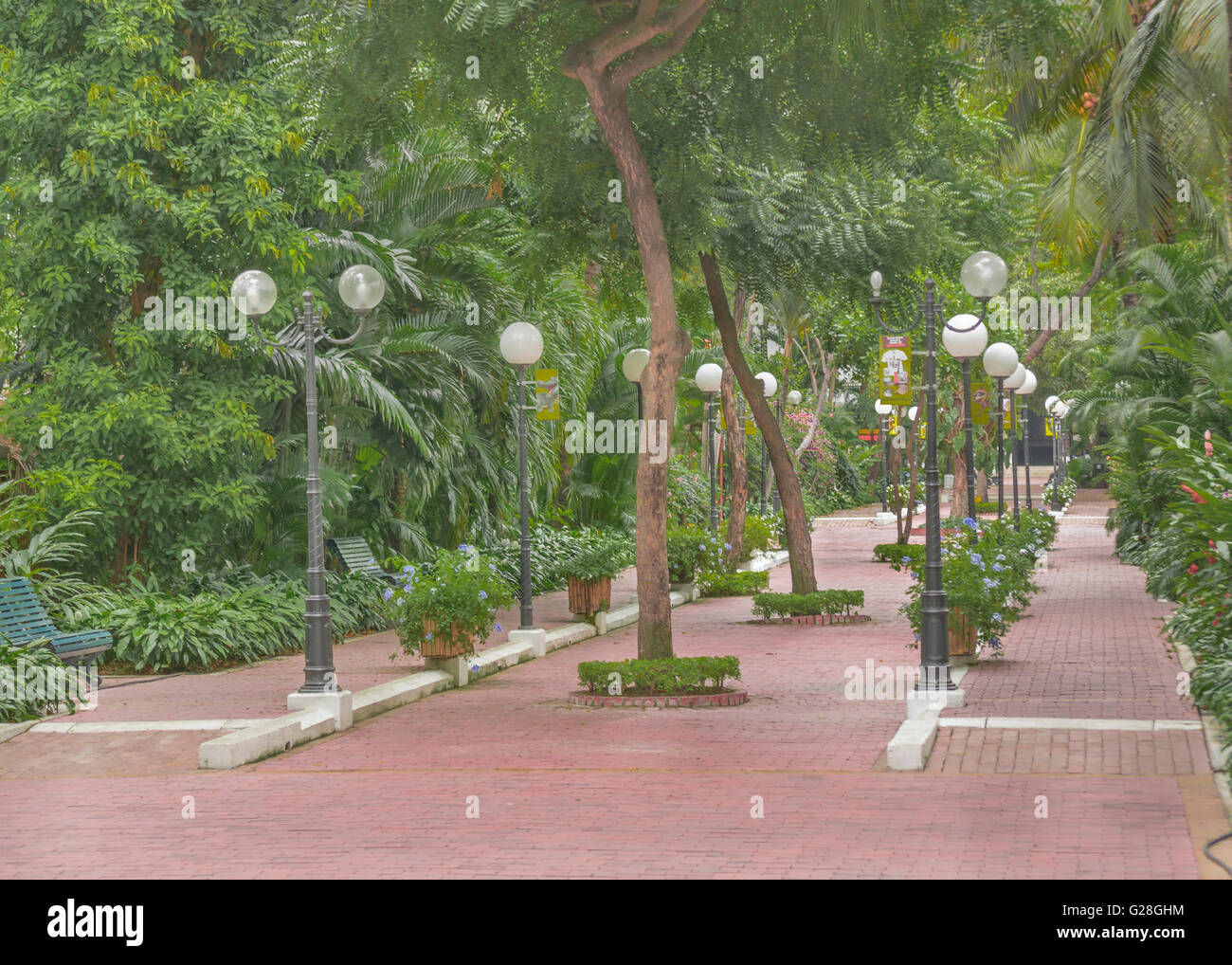 Park runner surrounded by tropical plants and trees at the historic ...