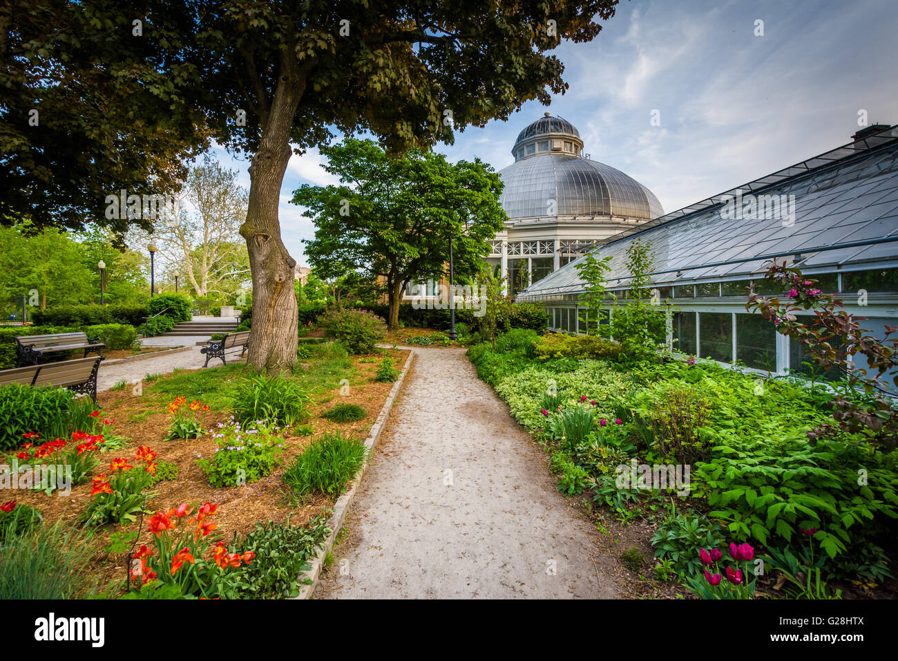 Downtown Toronto Gardens High Resolution Stock Photography and Images ...