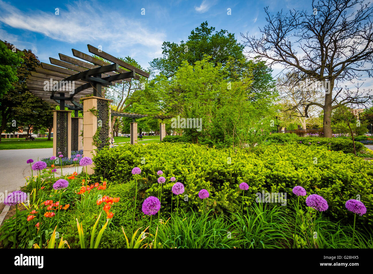 The Allan Gardens, in the Garden District, Toronto, Ontario Stock Photo ...