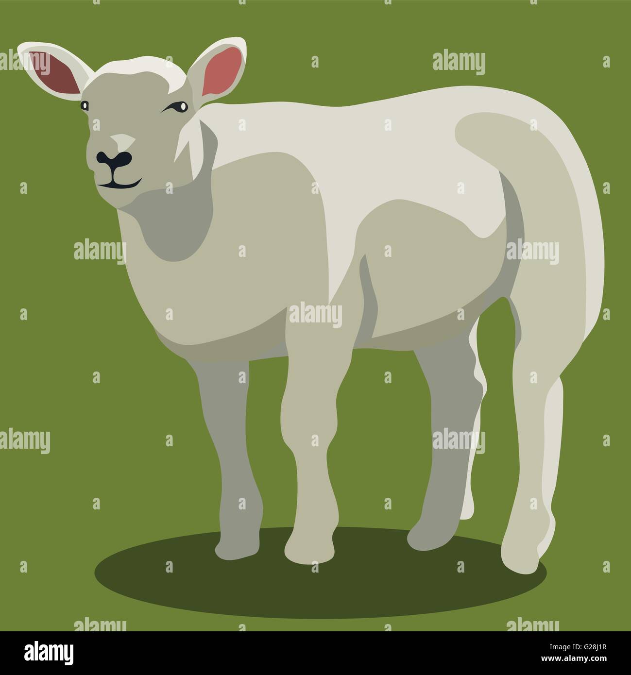 Sheepskin vector vectors Stock Vector Images - Alamy