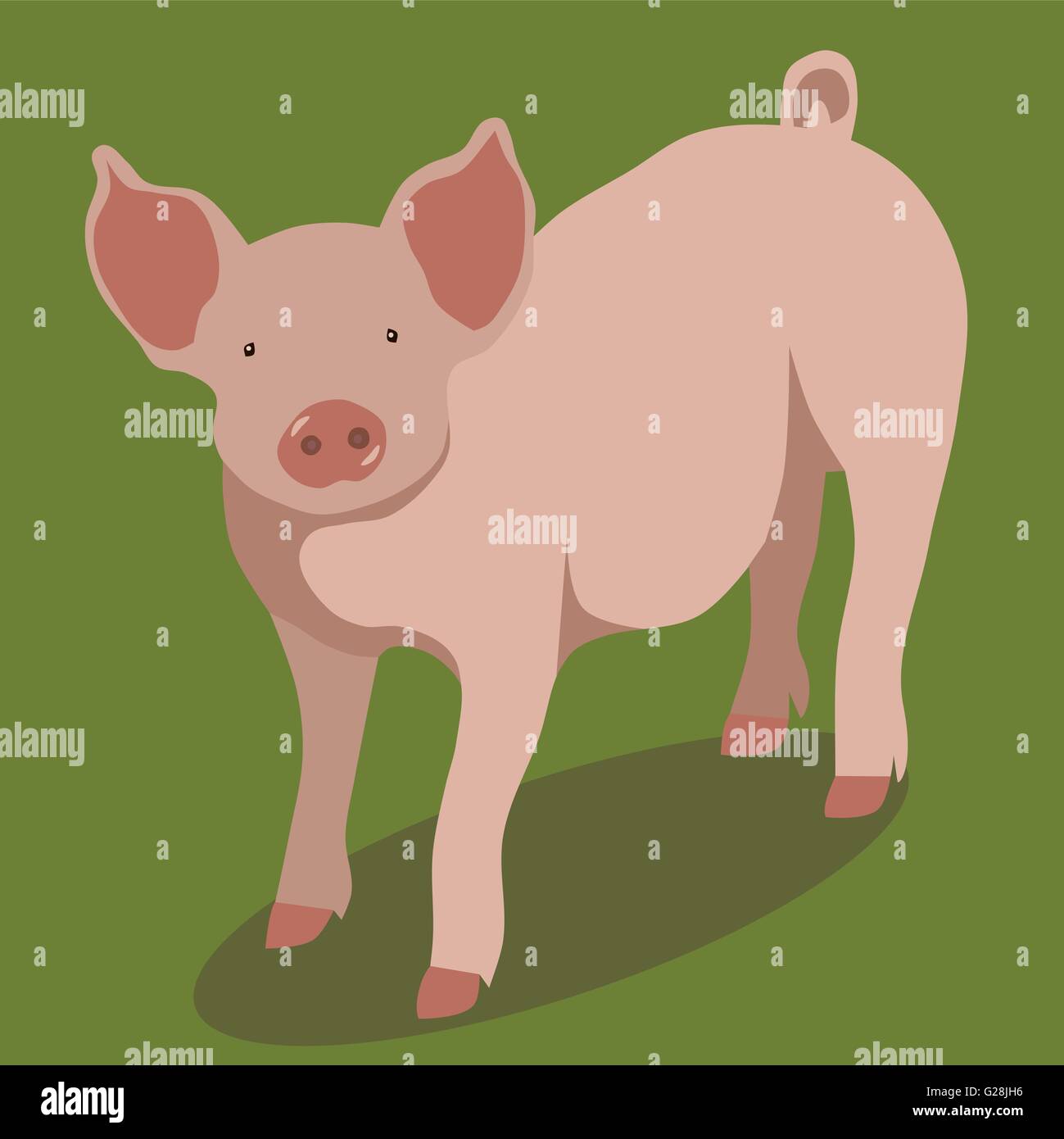 Pigs on ecological farm Stock Vector Images - Alamy
