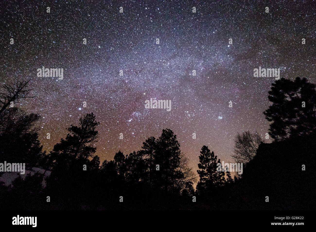 The winter night sky shining above Red Canyon. Dixie National Forest ...