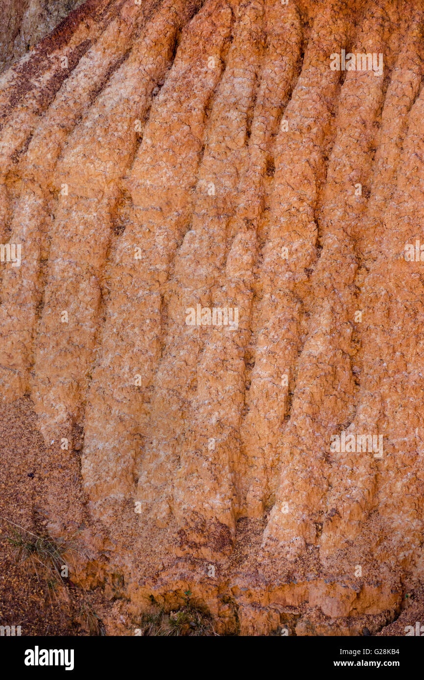 Texture formed by nature Stock Photo - Alamy