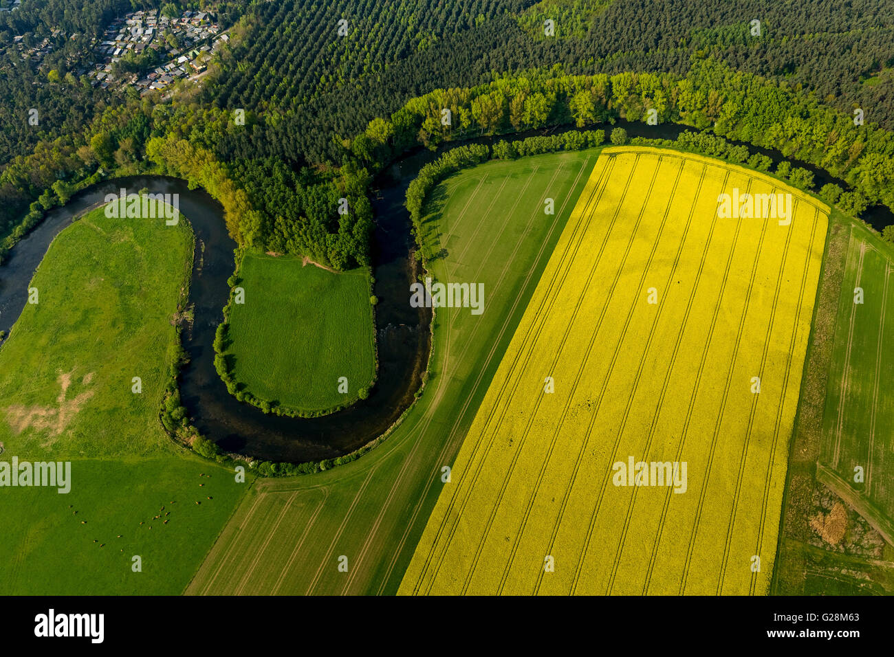 Aerial view, Olfen, Lippe Lippeauen, Lippe extending, lip meander with ...