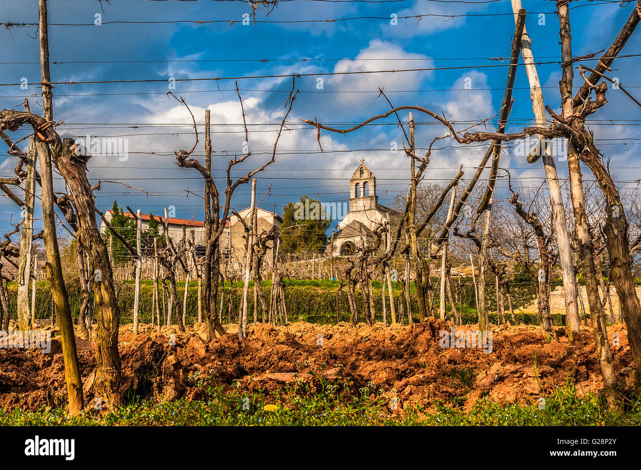 Tomaj slovenia hi-res stock photography and images - Alamy