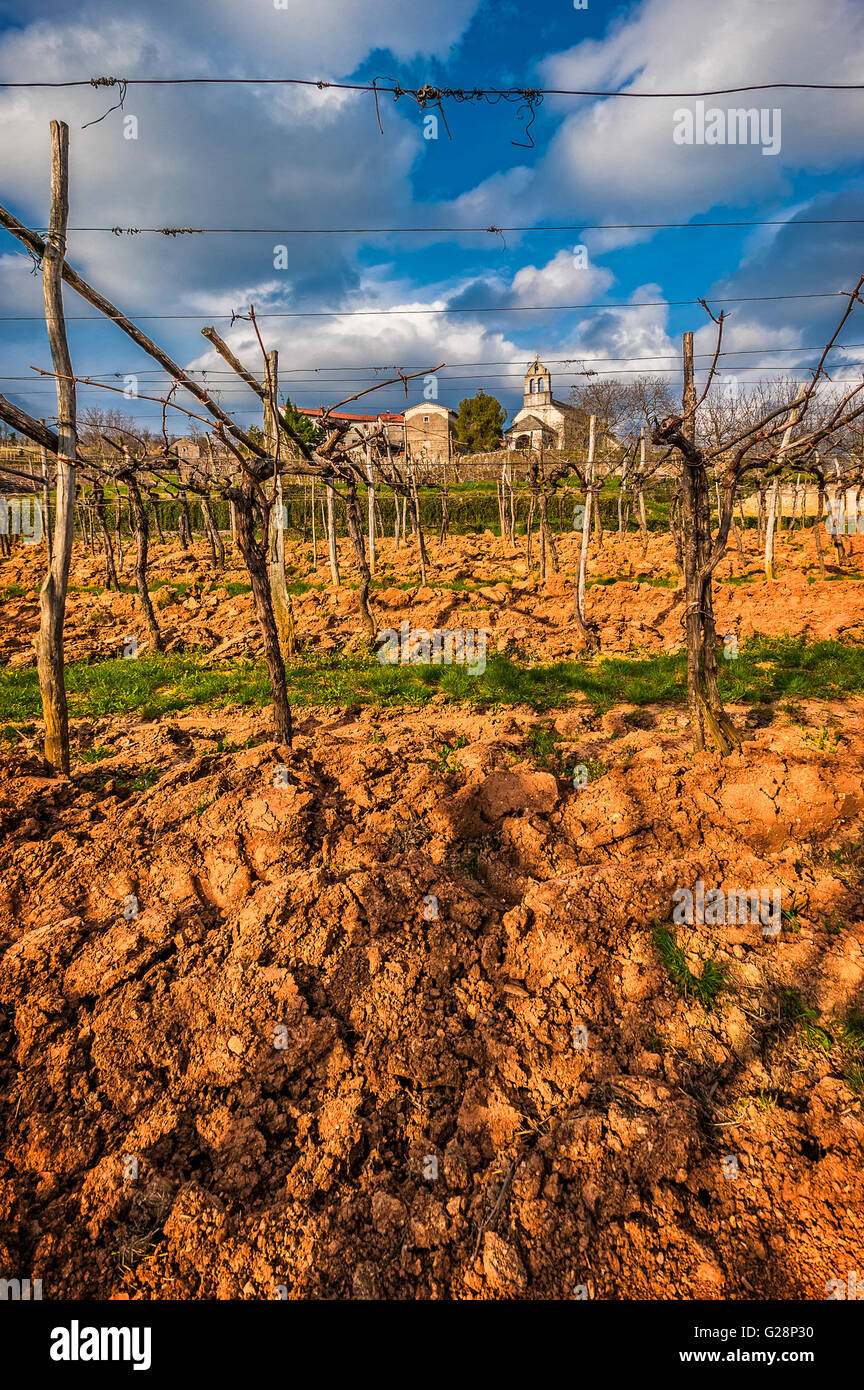 Tomaj slovenia hi-res stock photography and images - Alamy