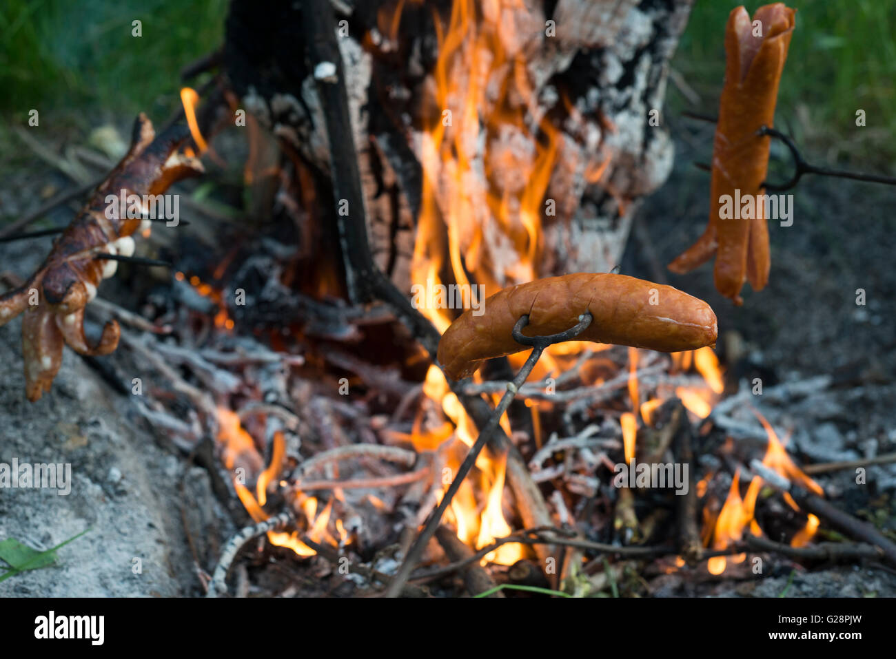 Sausage on a stick over the fire. Preparing sausages on camp fire Stock ...