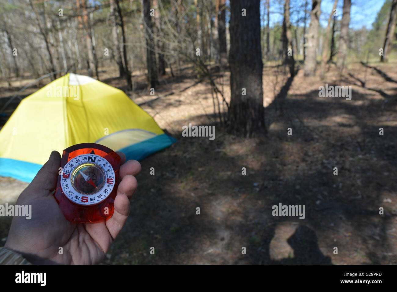 Orienteering in the woods with a compass. Compass in hand on background ...