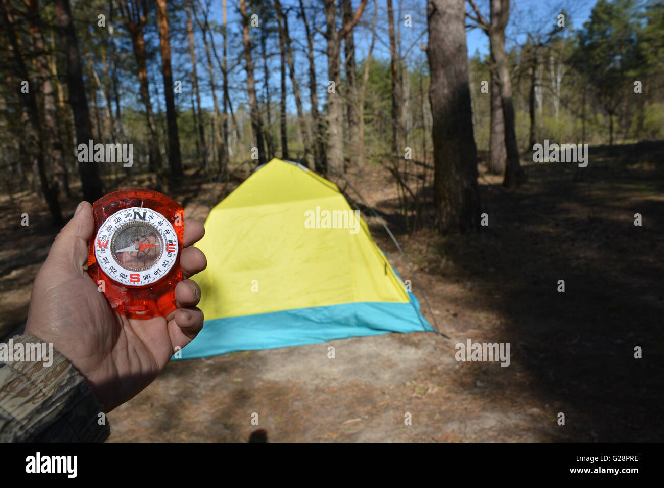 Orienteering in the woods with a compass. Compass in hand on background ...