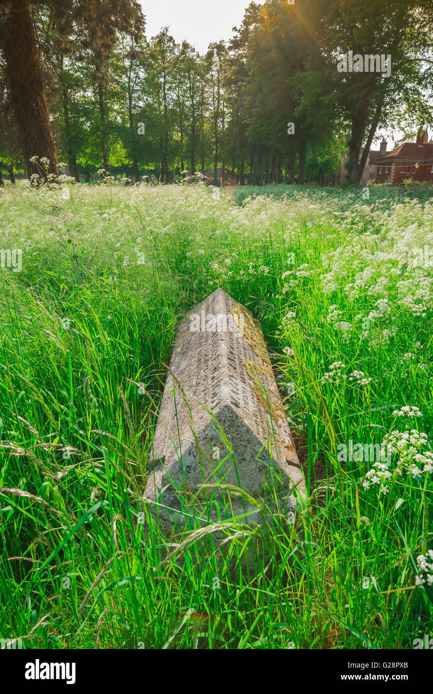 Grave grass, view of a grave surrounded by long summer grass in a ...