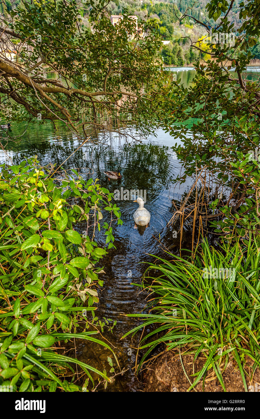 Portoroz lake hi-res stock photography and images - Alamy
