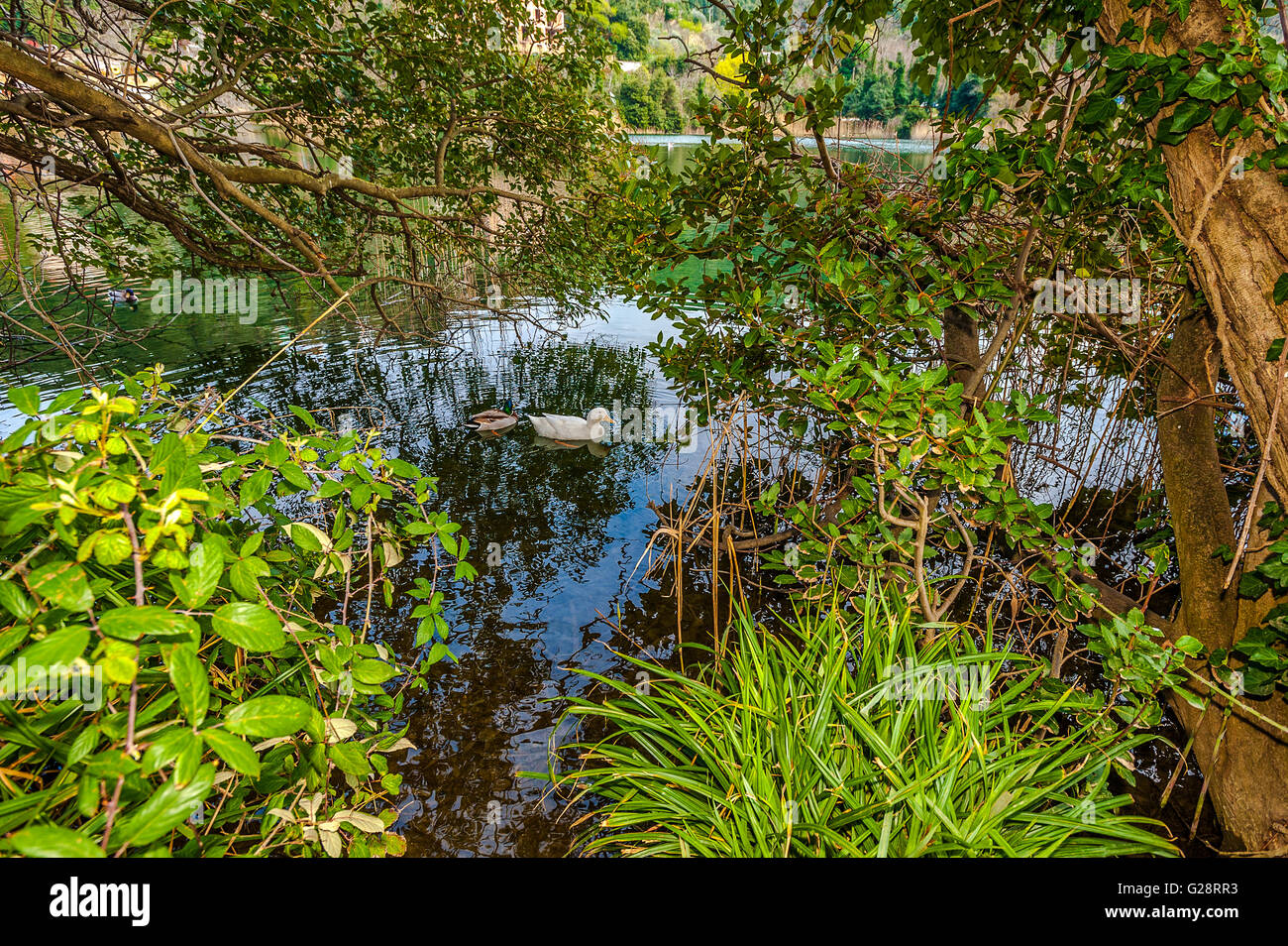 Slovenia Coast and Kras - Fiesa - Portoroz Lake Stock Photo - Alamy