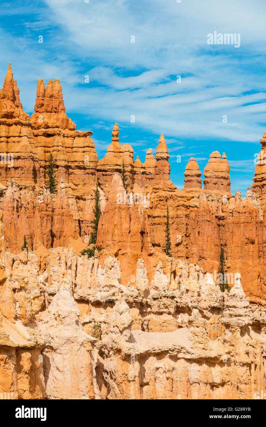 Colored rock formations, Hoodoos, rock needles, Bryce Canyon National ...