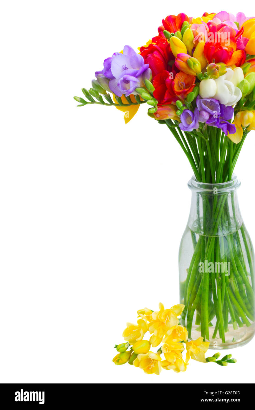 Freesias pot hi-res stock photography and images - Alamy