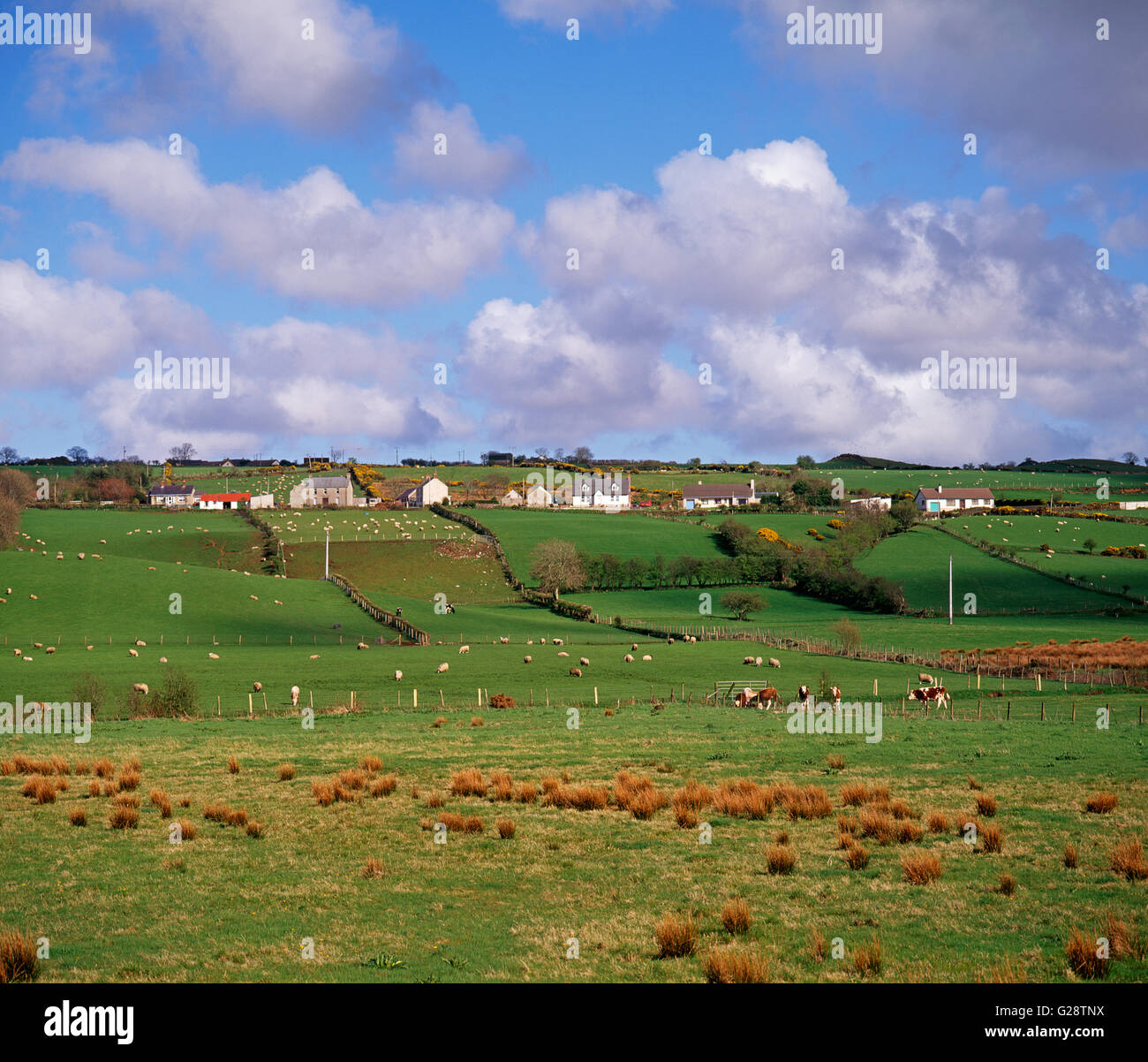 County Antrim rural farming landscape, County Antrim, Northern Ireland ...