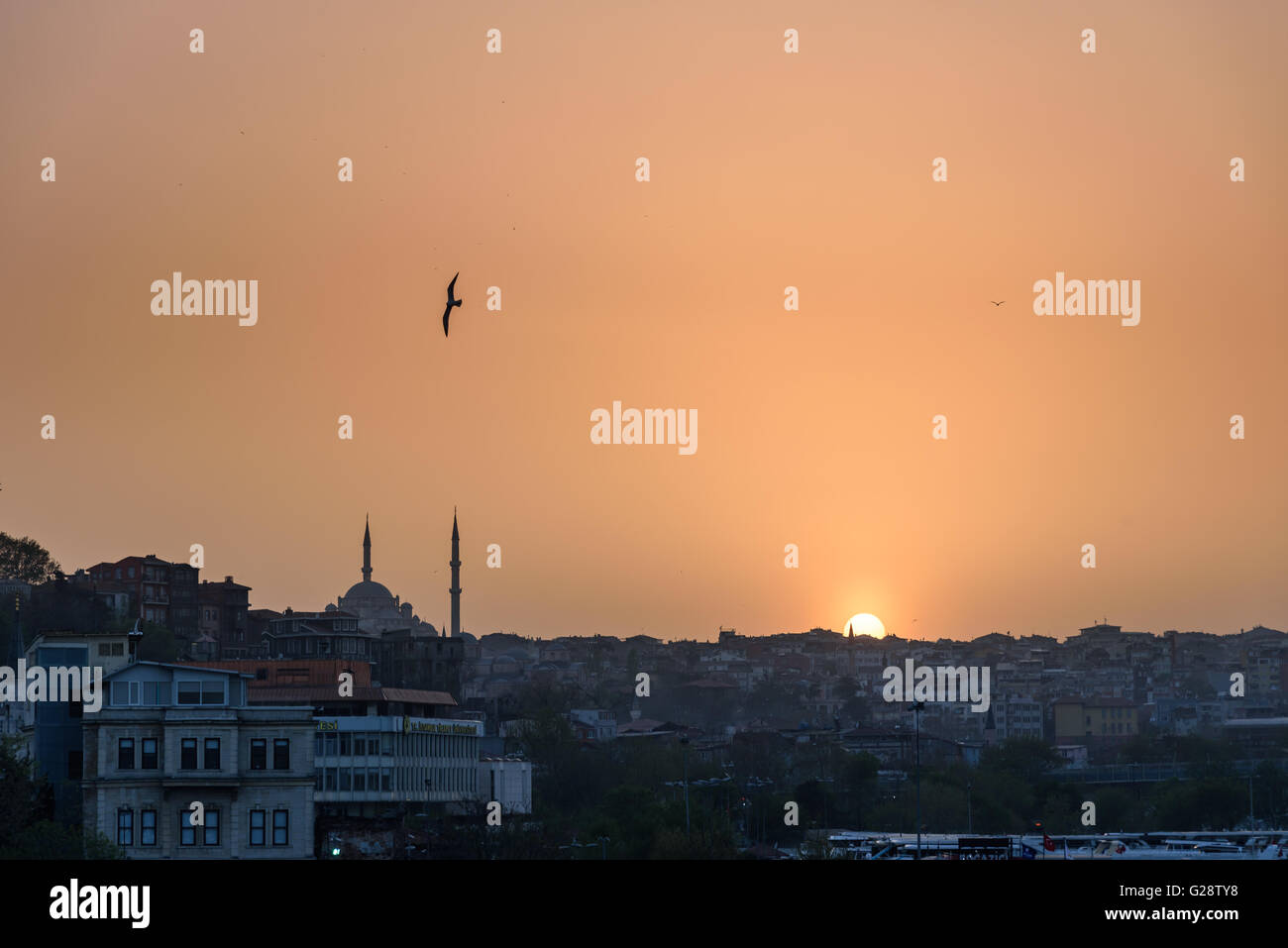 One of the most beautiful things about Istanbul is its unique skyline ...
