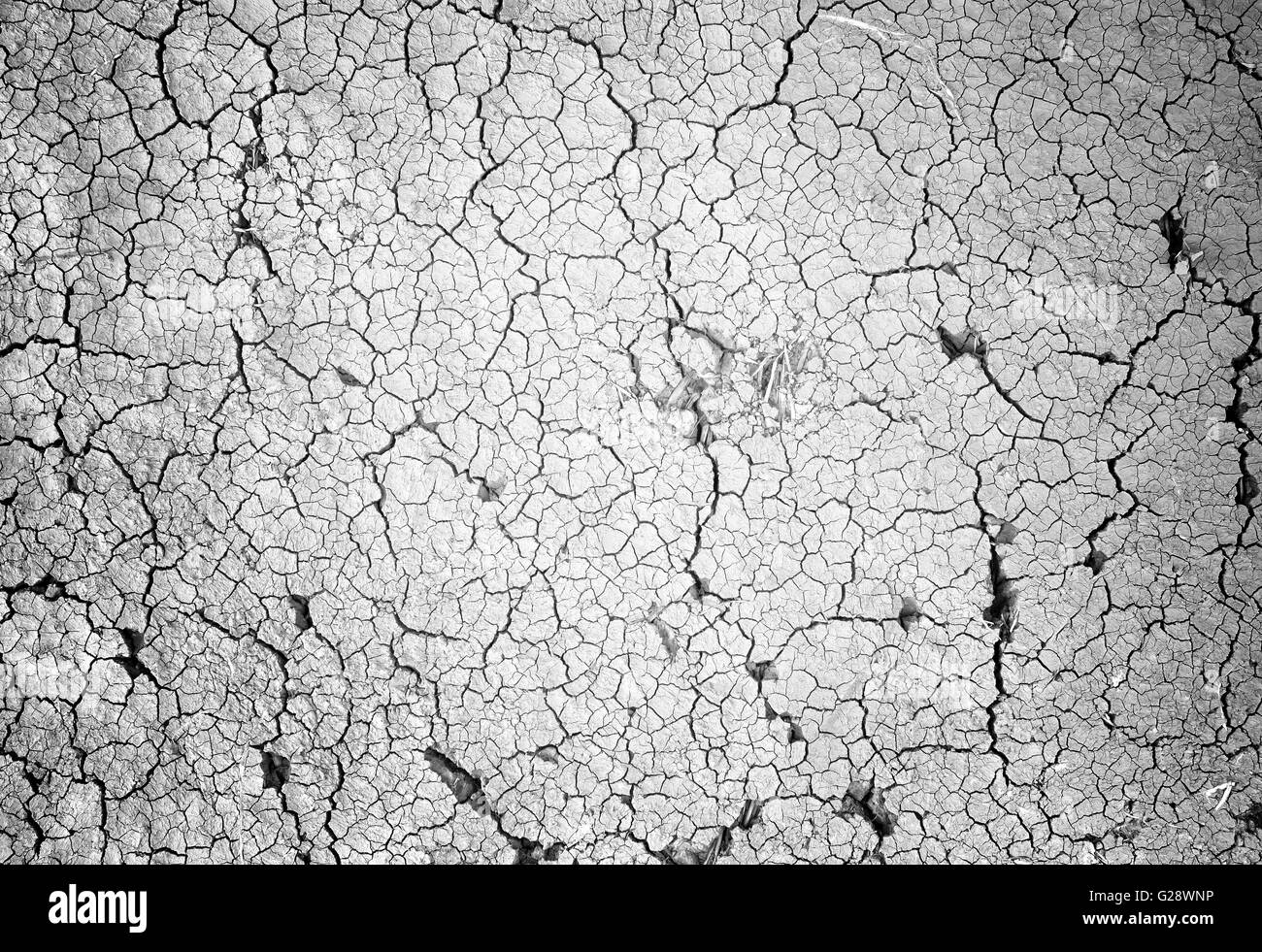 Weather cracks Black and White Stock Photos & Images - Alamy