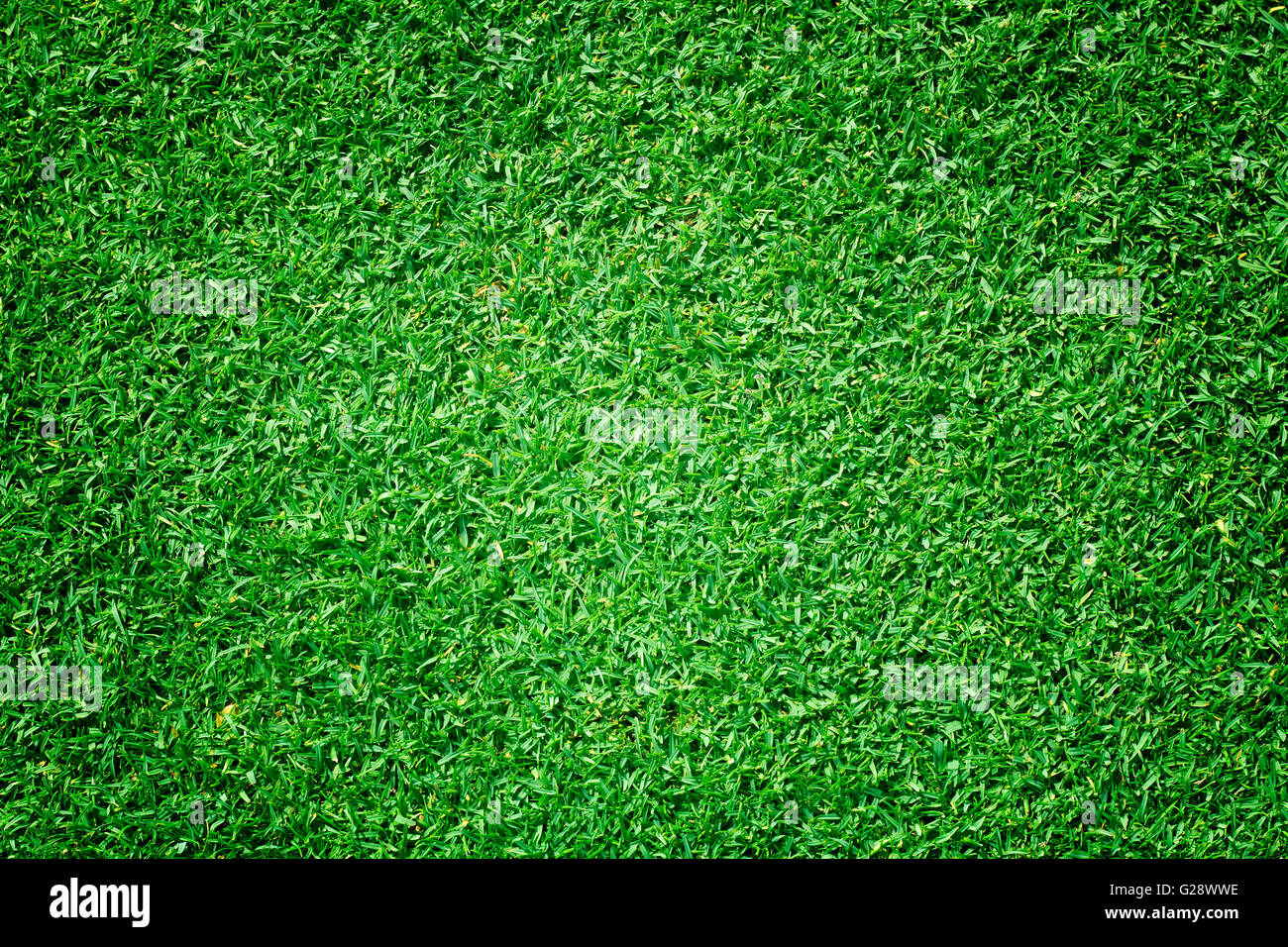Golf Courses green lawn pattern textured background Stock Photo - Alamy