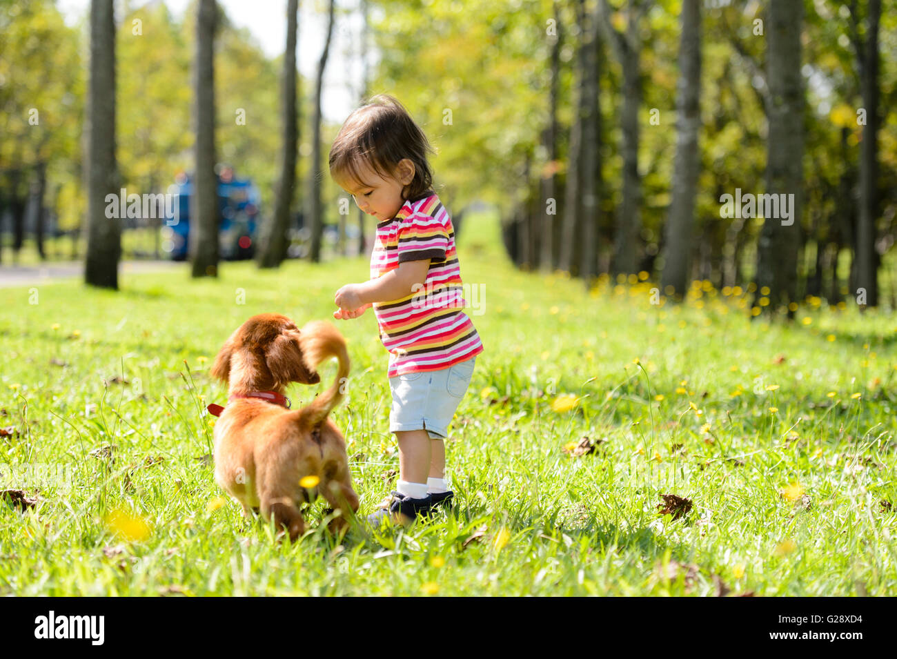 Playing dog kid hi-res stock photography and images - Alamy