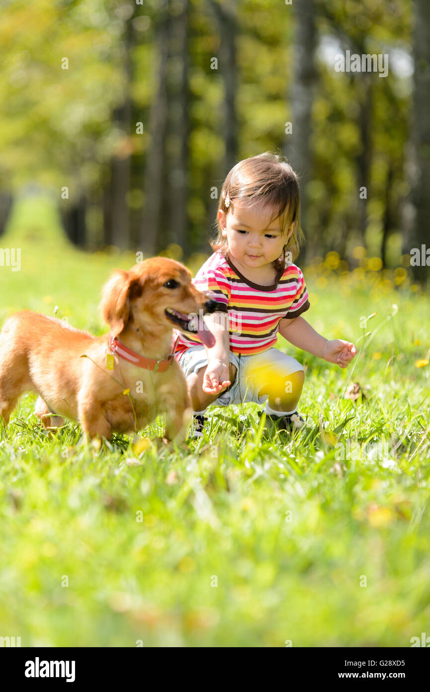 Kid playing with dog in a city park Stock Photo - Alamy