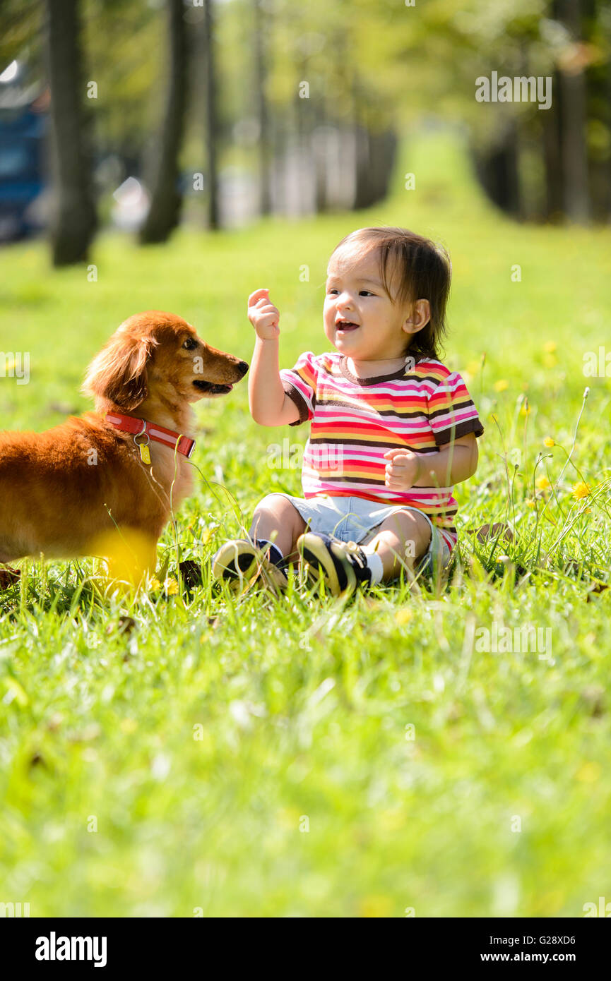Kid playing with dog in a city park Stock Photo - Alamy