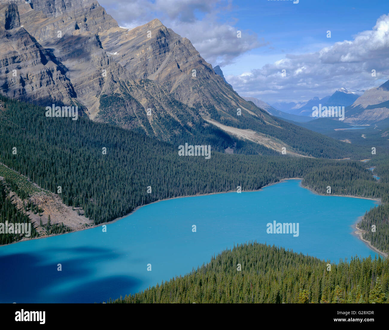 Canada, Alberta, Banff National Park, Turquoise color of Peyto Lake is ...