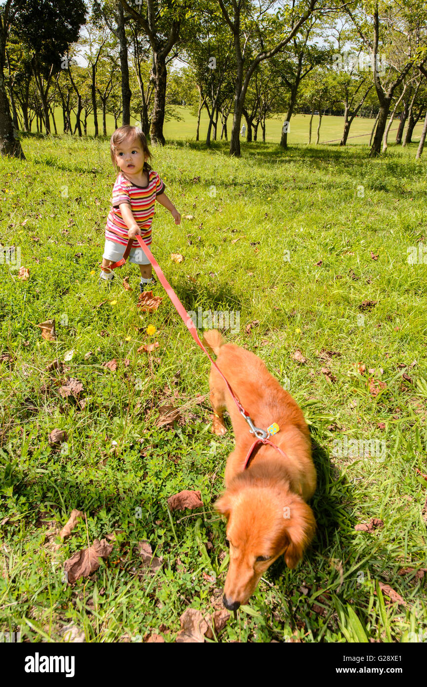 Kid playing with dog in a city park Stock Photo - Alamy