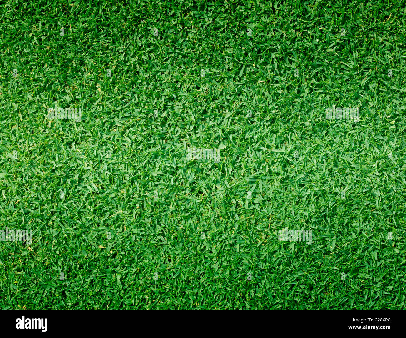 Golf Courses green lawn pattern textured background Stock Photo - Alamy